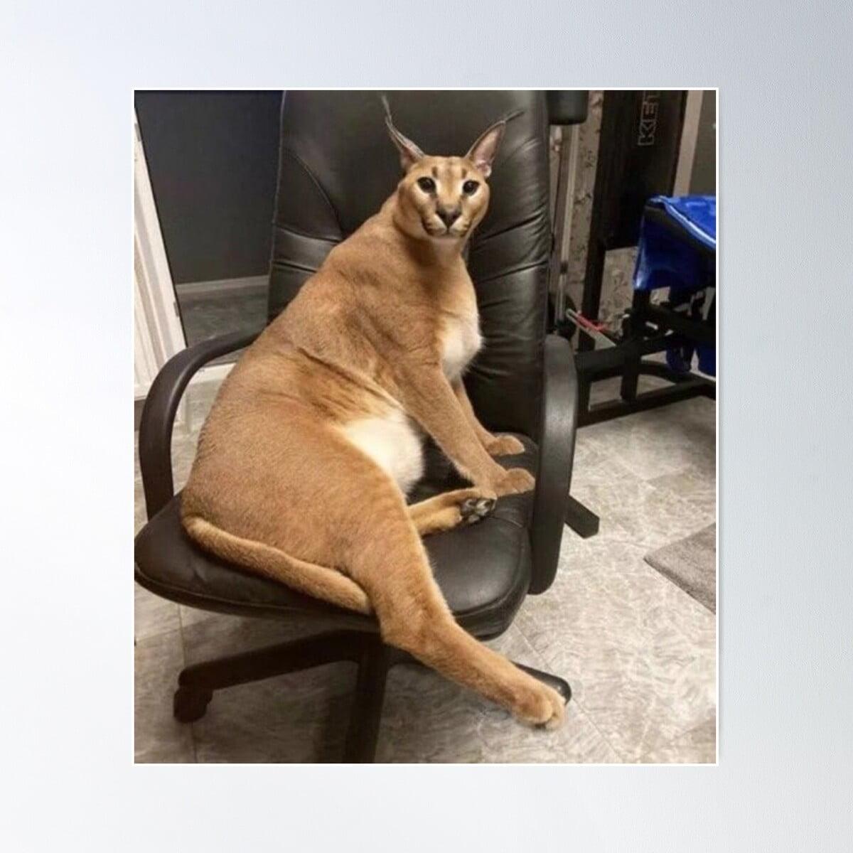 Big Floppa In A Chair Poster Wall Art, Modern Wall Decor For Living Room Bedroom, 8x12 UNFRAMED ...