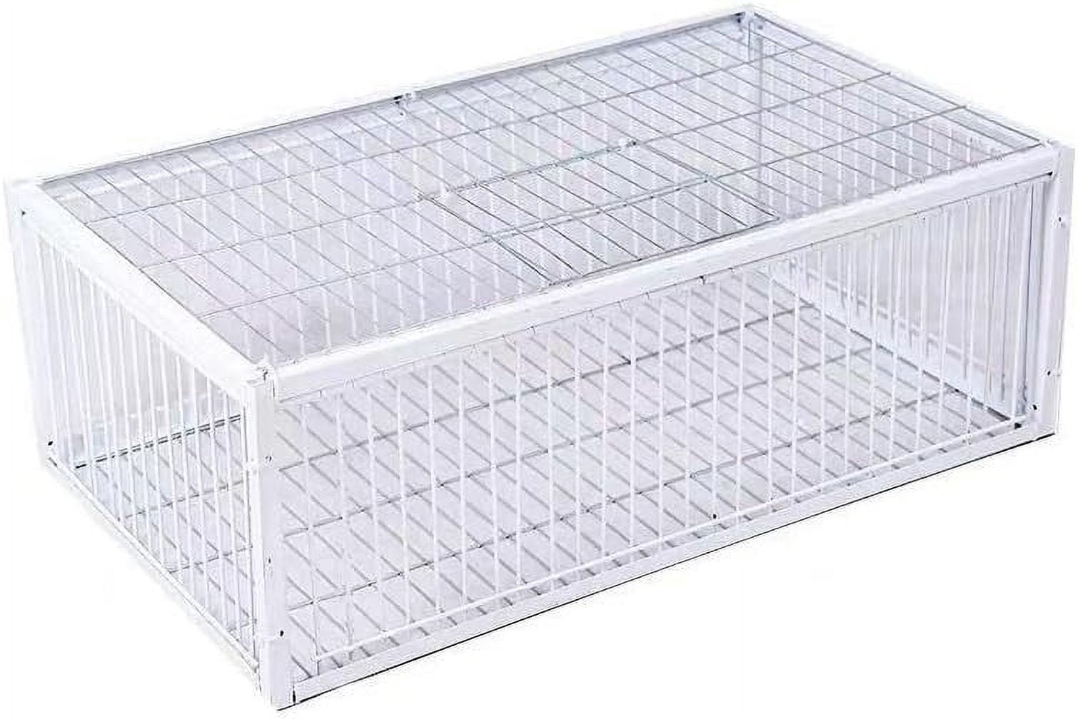 Big Foldable Galvanised Pigeon Dove Bird Trap Cage Feral Pigeon Humane ...