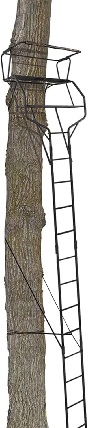 Big Game 2 Person Deer Hunting Ladder Climbing Tree Stand with Flex-Tek ...