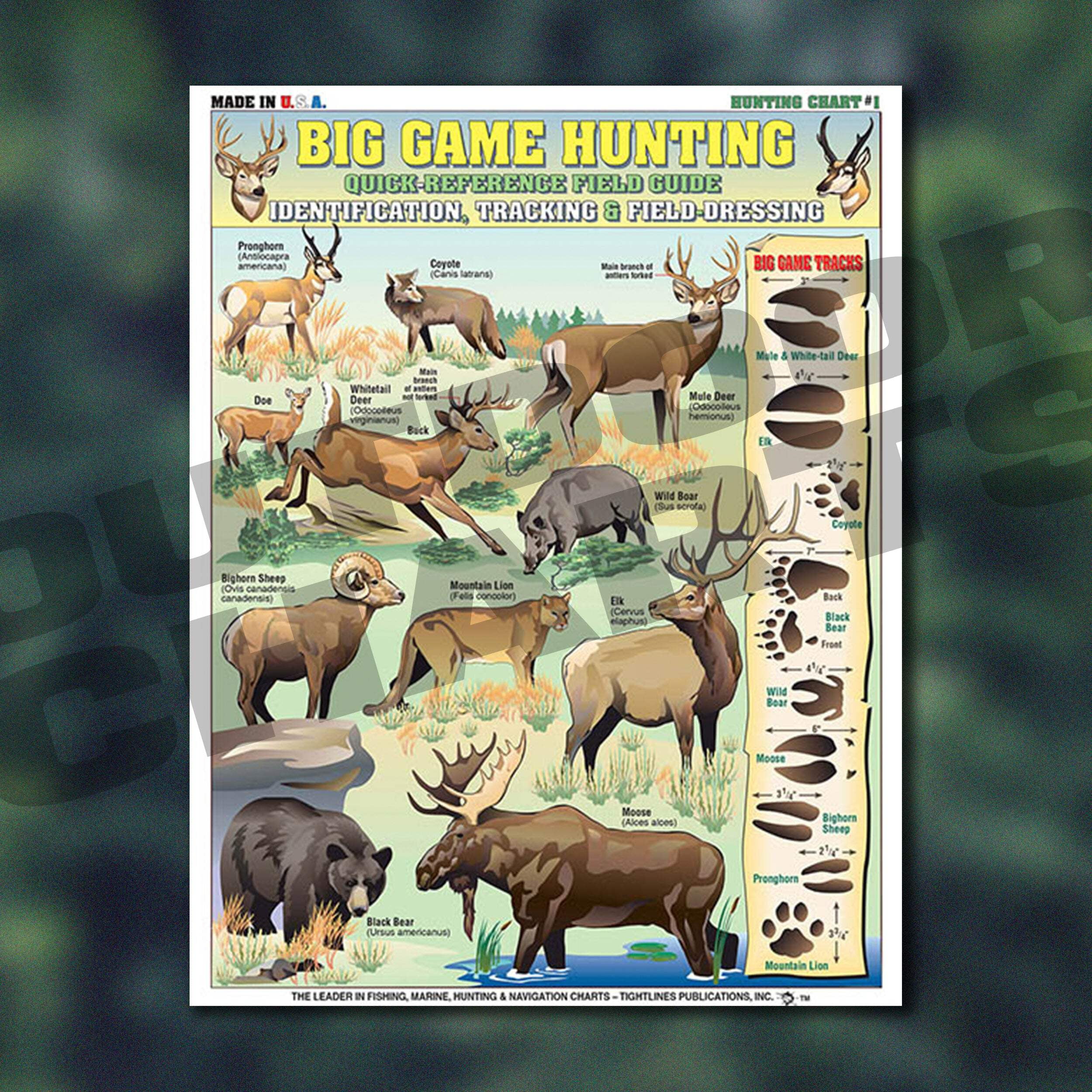 Big Game Hunting Identification Chart #1 - Waterproof Quick Reference ...