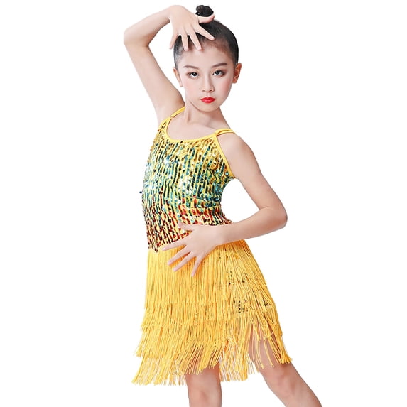 Big Girls Birthday Dress Sequin Latin Dance Performance Fringe Dance ...