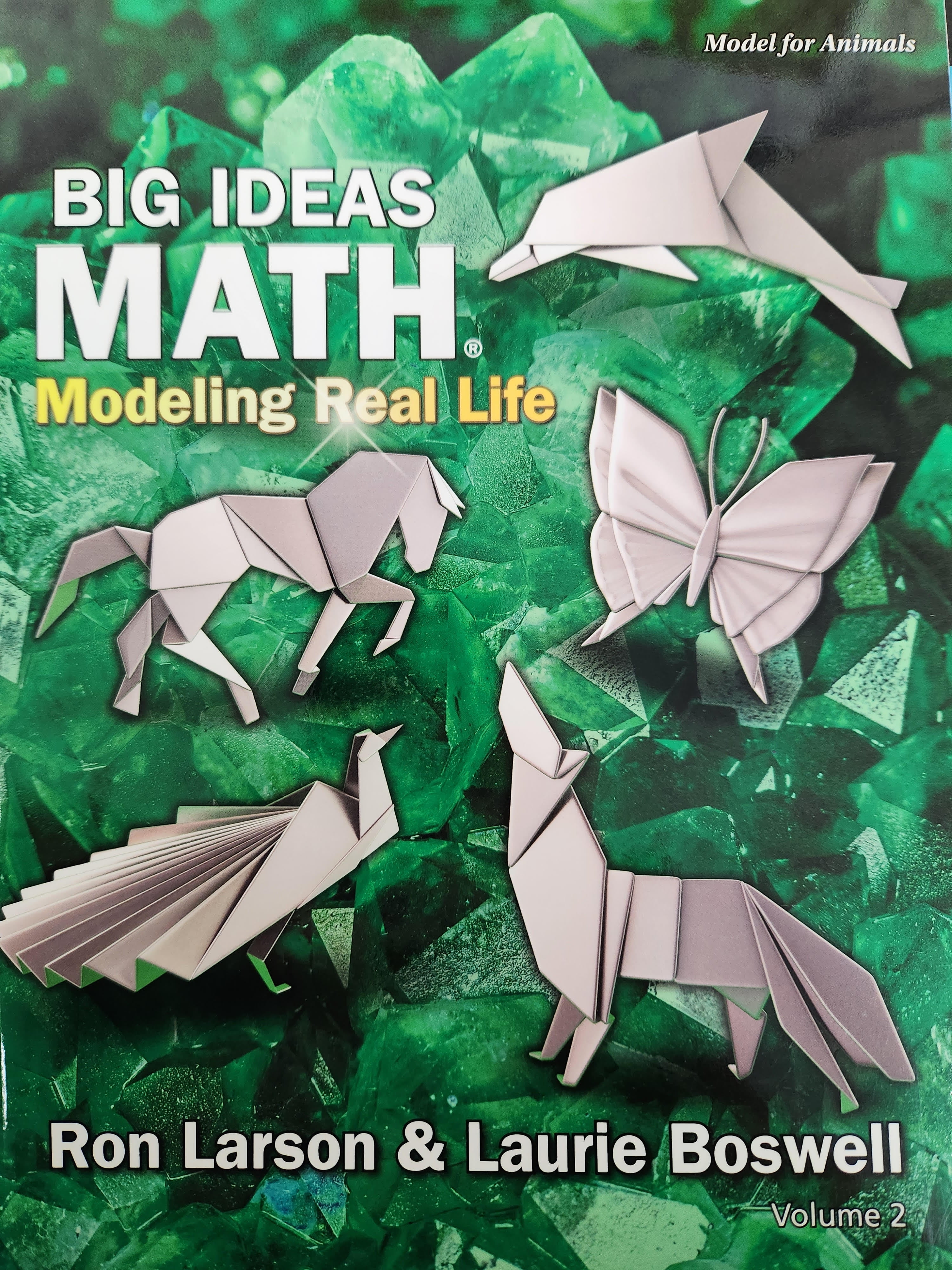 Big Ideas Math; Modeling Real Life, Student Edition Grade 3 Volume 2 ...