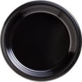 "Big Jet Black Disposable Plastic Plates for Dinner/Dessert, 10.25 ...