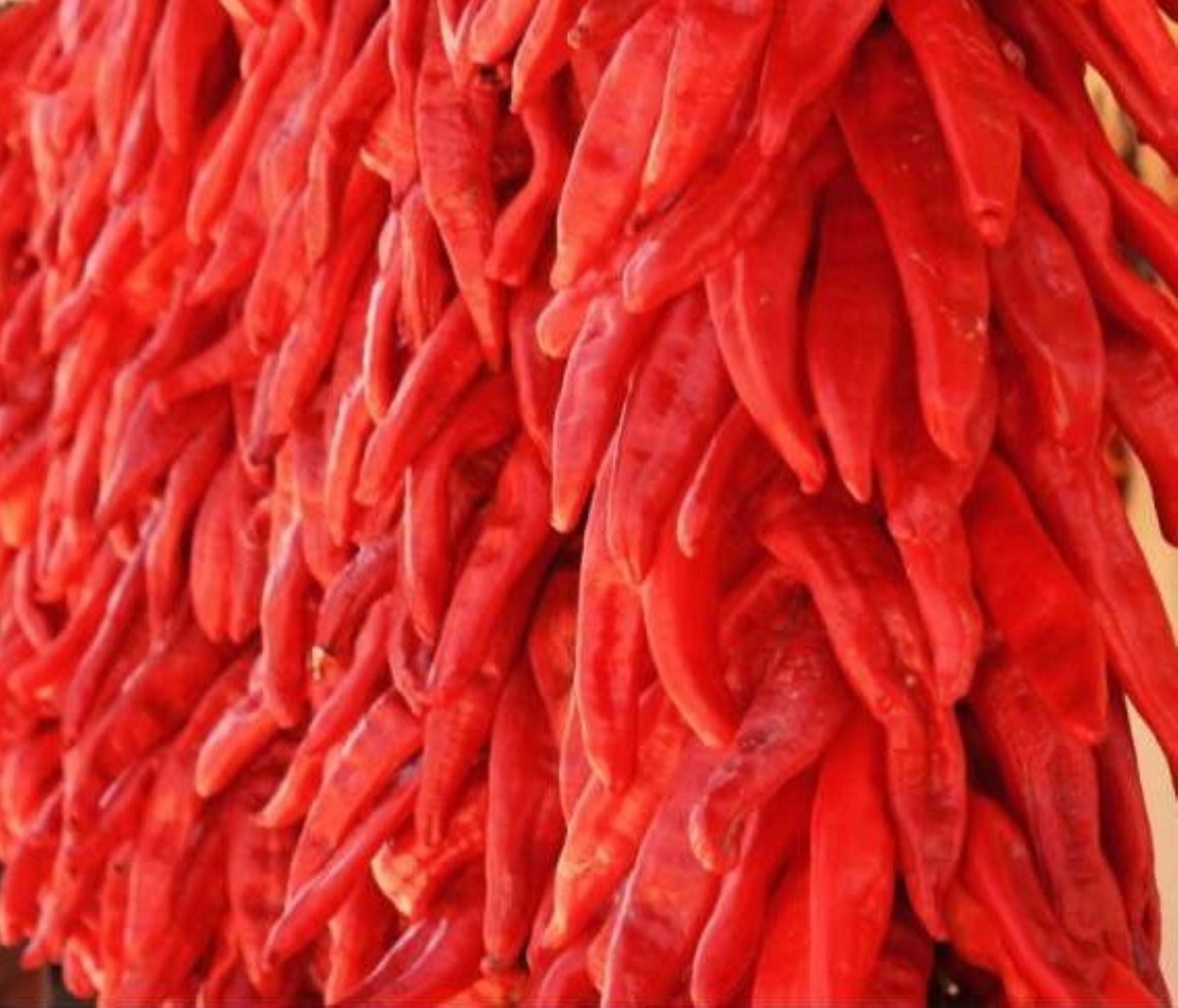 Big Jim NuMex Hot Pepper Seeds/ Annual/ Full Sun/50 Seeds 1/2 Gram ...