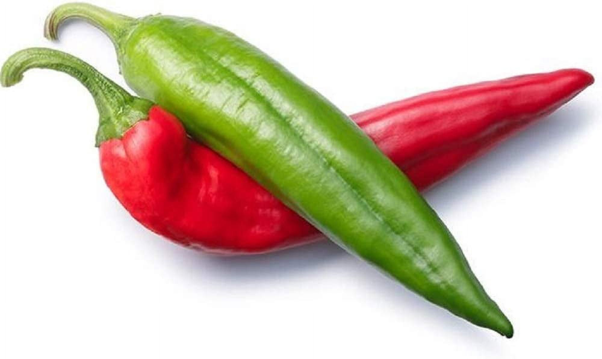 Big Jim Pepper Seeds - 100 Count Seed Pack- Non-GMO - High yields of ...