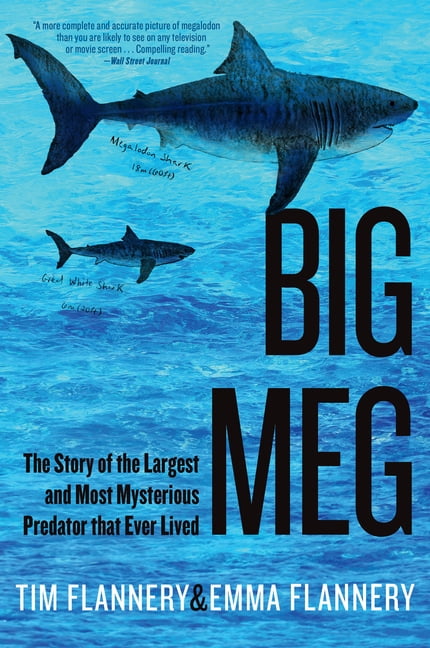 Big Meg: The Story of the Largest and Most Mysterious Predator That ...