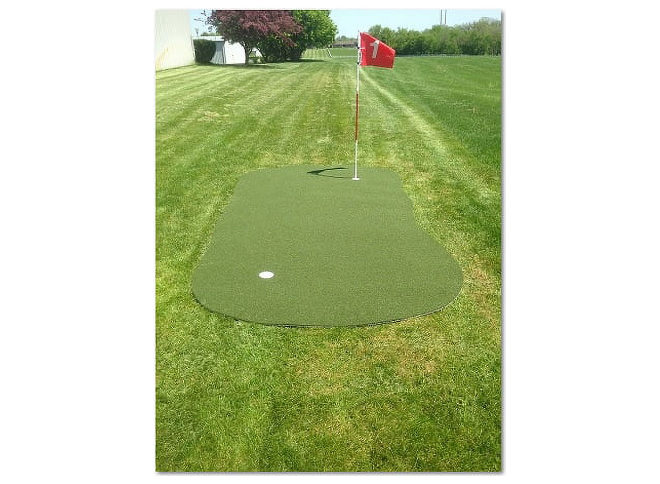 Big Moss Golf Portable Backyard OUTDOOR TARGET & Putting Green 6'x15 ...