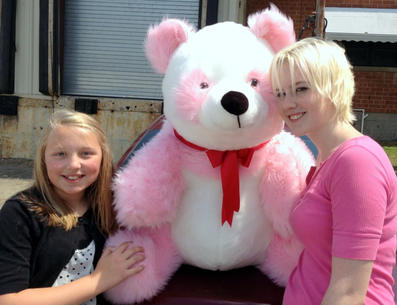 Big Plush Giant Stuffed Pink Panda Soft Teddy Bear Made in USA ...