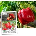 Big Red Bell Pepper Seeds, 50 Heirloom Seeds Per Packet, Non GMO Seeds ...