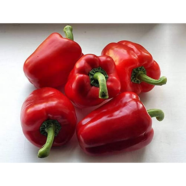 Big Red Bell Pepper Seeds, 50 Heirloom Seeds Per Packet, Non GMO Seeds ...