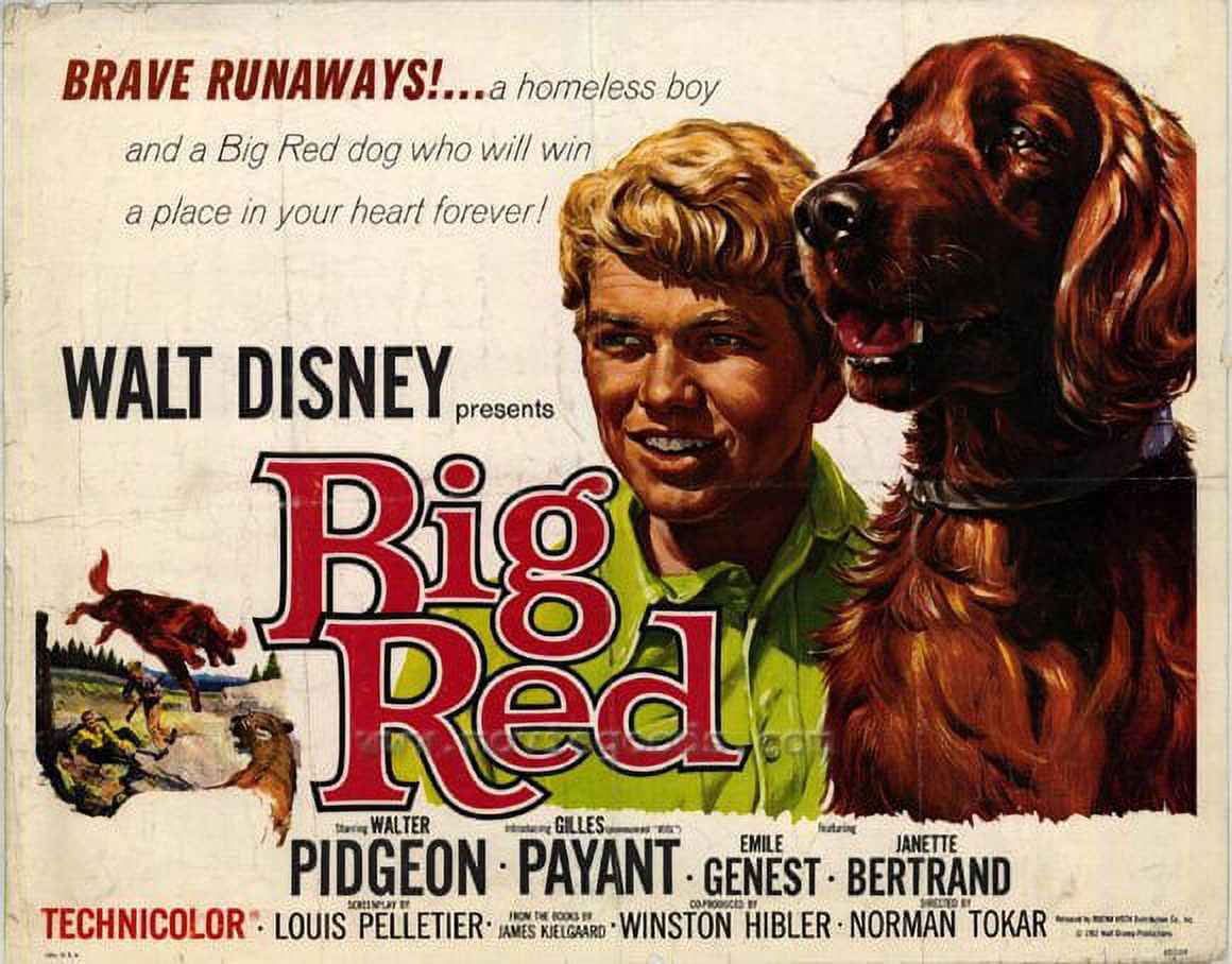 Big Red - movie POSTER (Style A) (11" x 14") (1962) - Walmart.com