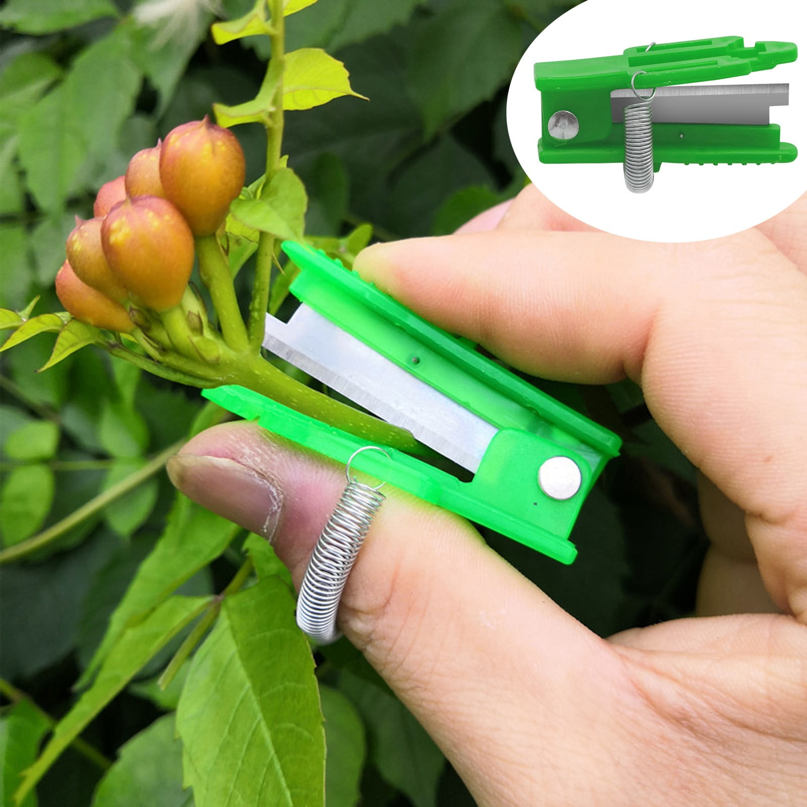 Big Savings! Gosuguu Thumb Picking Knife, Leaf and Vegetable Picking ...