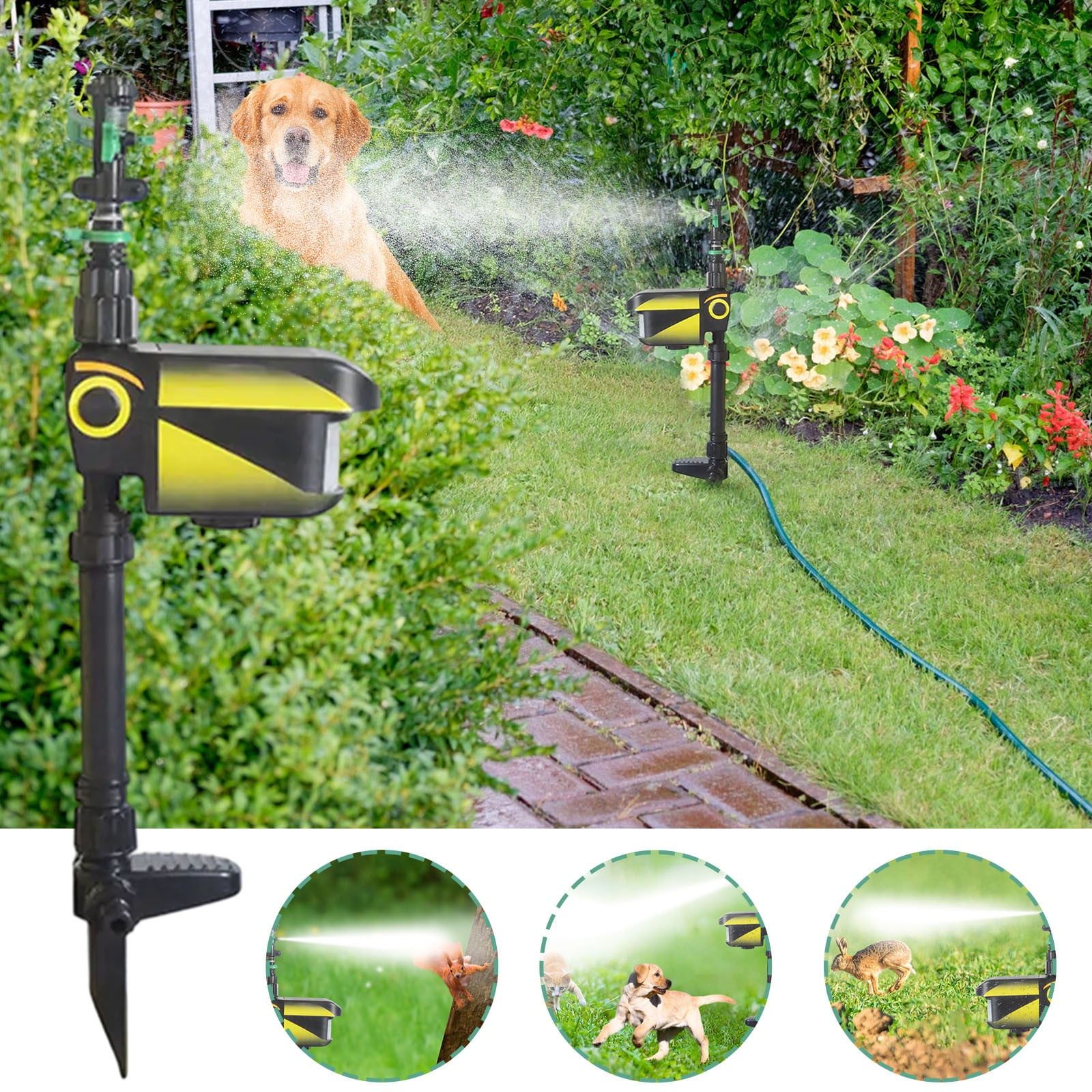Big Savings! JGF844 Garden Watering Animals Solar Garden Waterproof ...