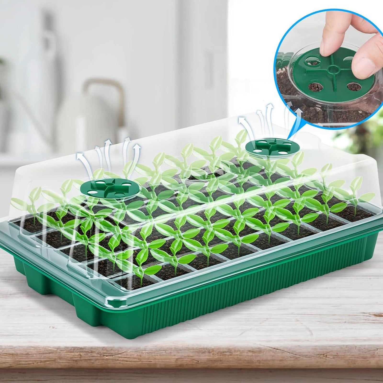 Big Savings! Seed Tray 40 Cells Greenhouse Propagation Kit, Plant ...