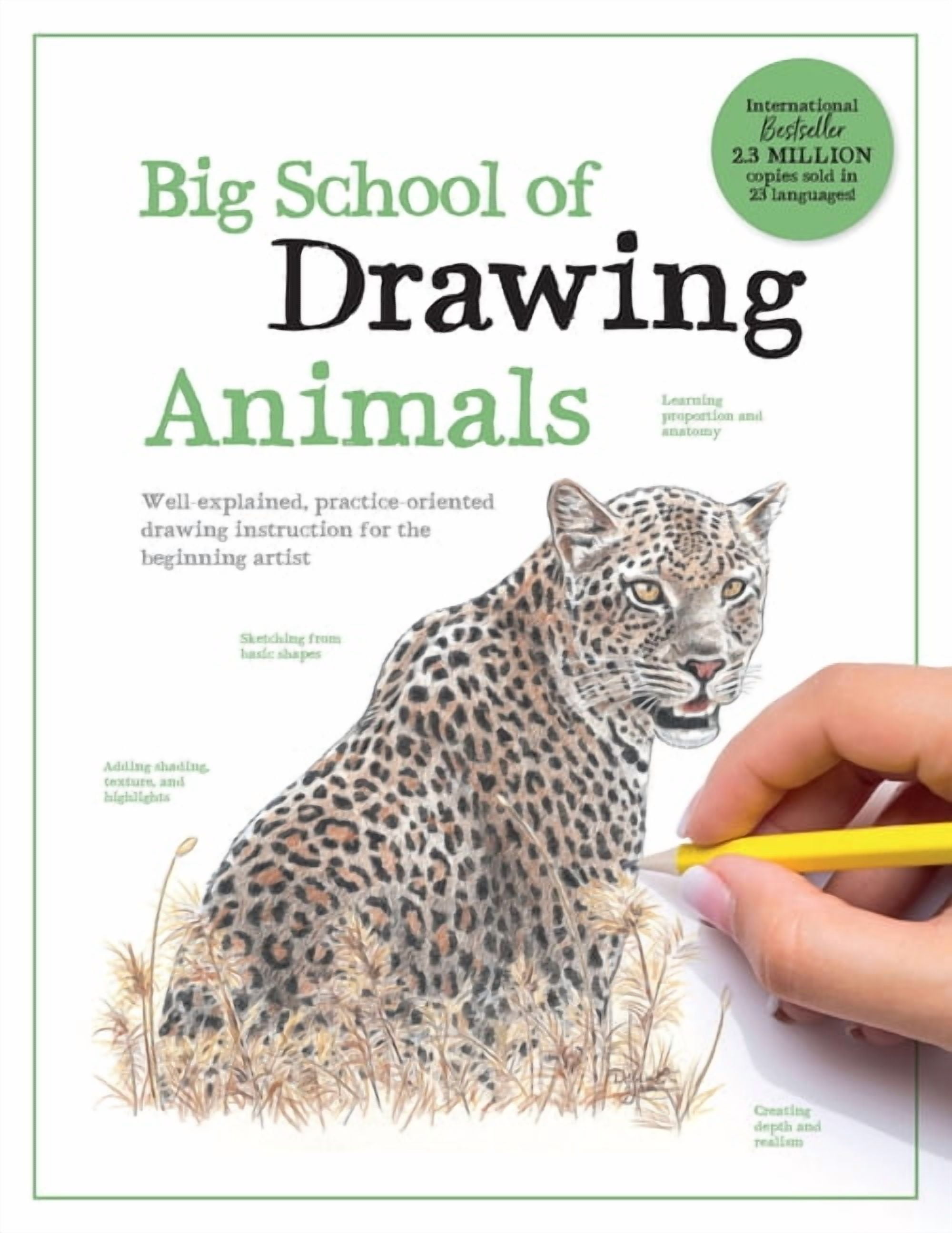 Big School of Drawing Big School of Drawing Animals: Well-Explained ...