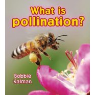 So You Have to Do a Science Fair Project (Paperback) - Walmart.com