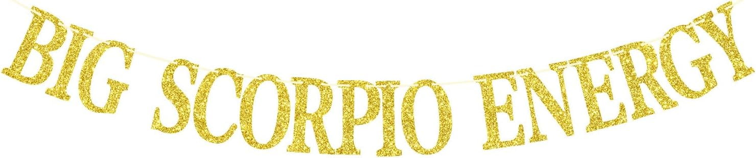 Big Scorpio Energy Banner, Scorpio Birthday Decor, 12 Zodiac ...