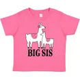 Big Sis Girls Llama Sister Toddler T-Shirt Childs Reveal Cute Clothing Baby Clothing, Cute Baby ...