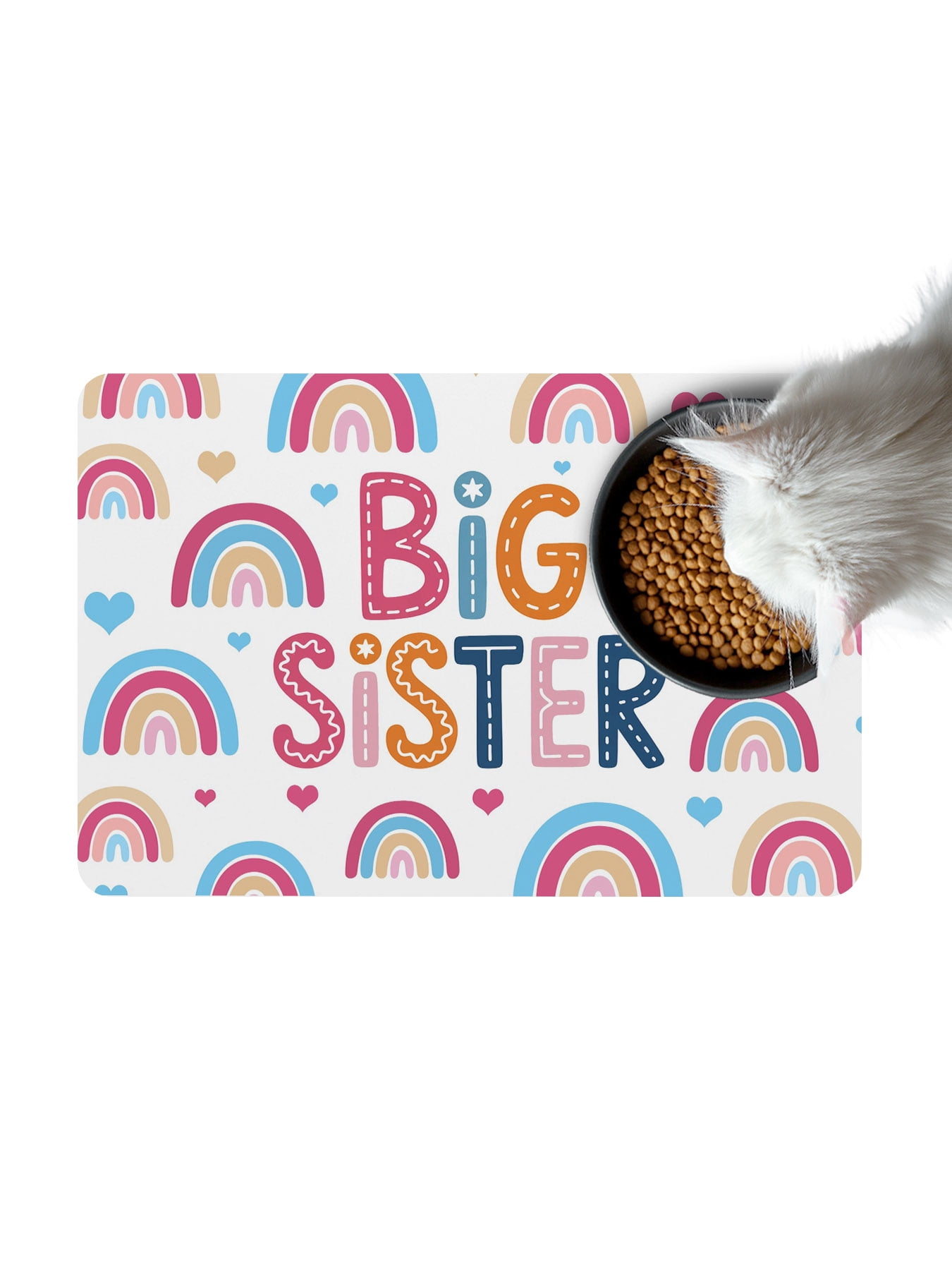 Big Sister Doormat Non Slip Diatomaceous Earth Door Mat Absorbent Quick ...
