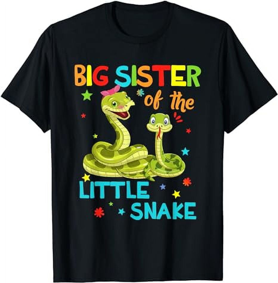 Big Sister Of Little Snake Birthday Family Shirts Matching T-Shirt ...