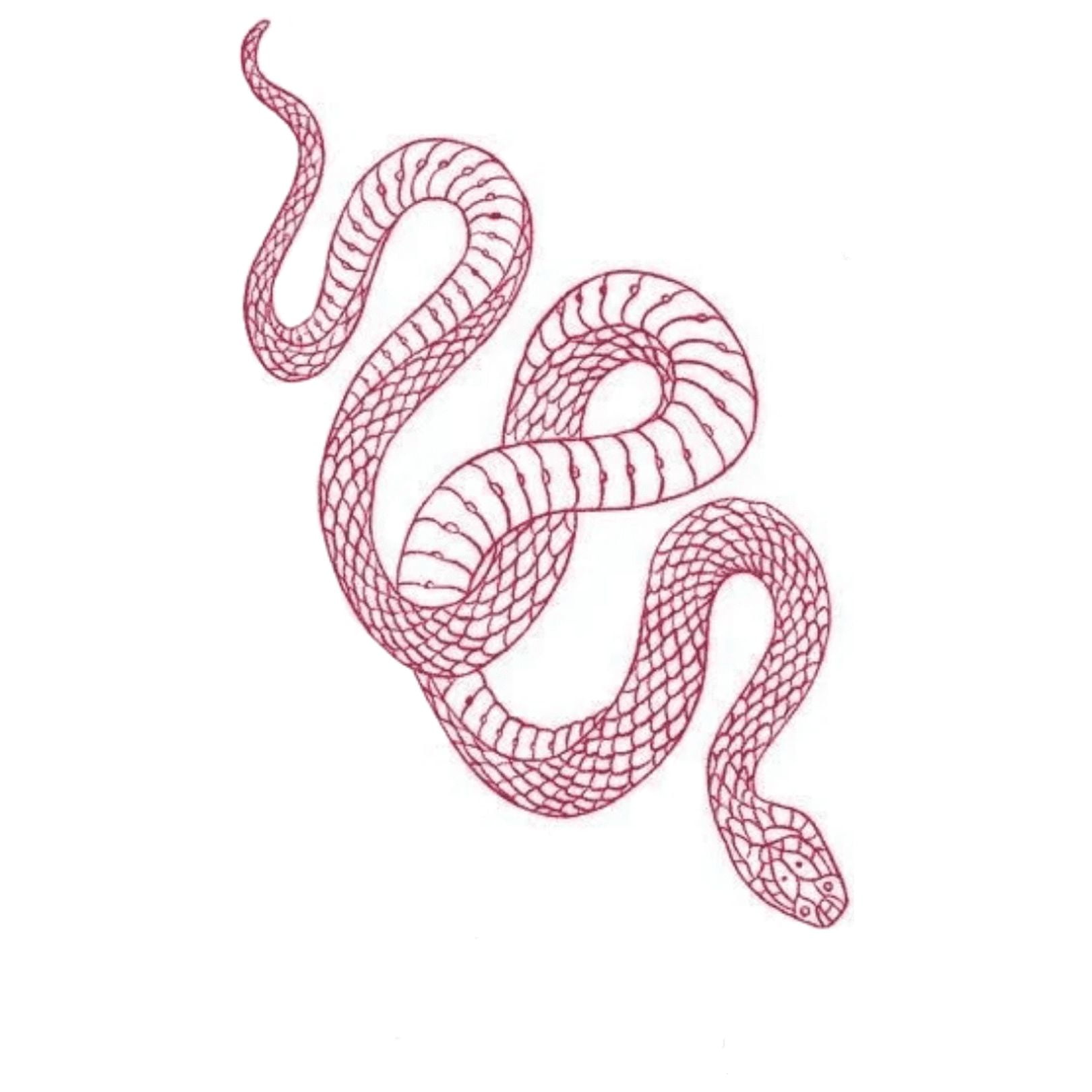 Snake Drawings Tattoos