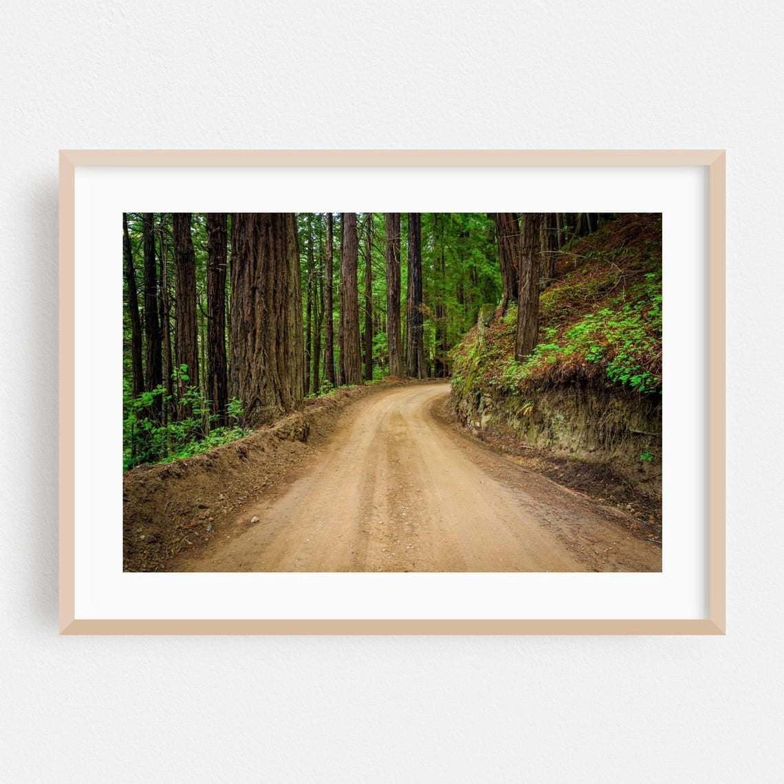 Big Sur California Forest Nature Landscape Scenic Fine Rural Rustic ...