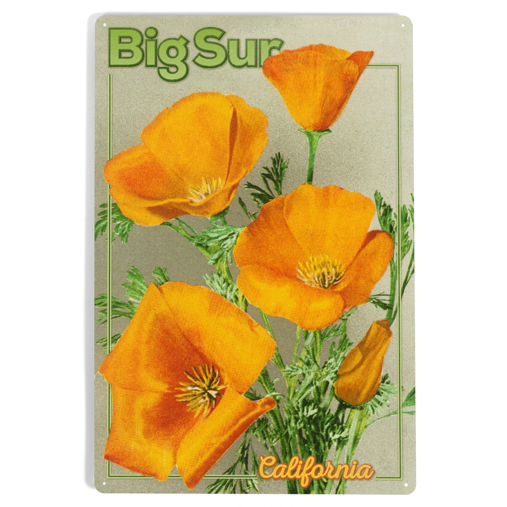 Big Sur, California, Poppies (12x18 Aluminum Art, Indoor Outdoor Metal ...