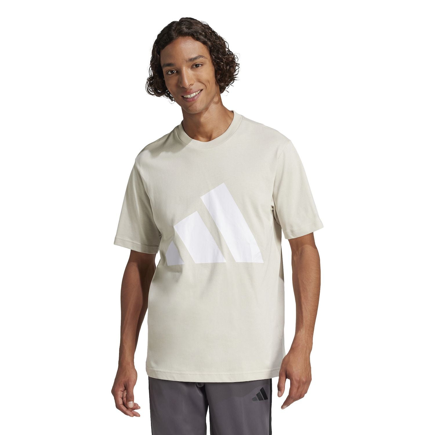 Big & Tall adidas Essentials Big Logo Tee Color: Wonder Alumina Size ...