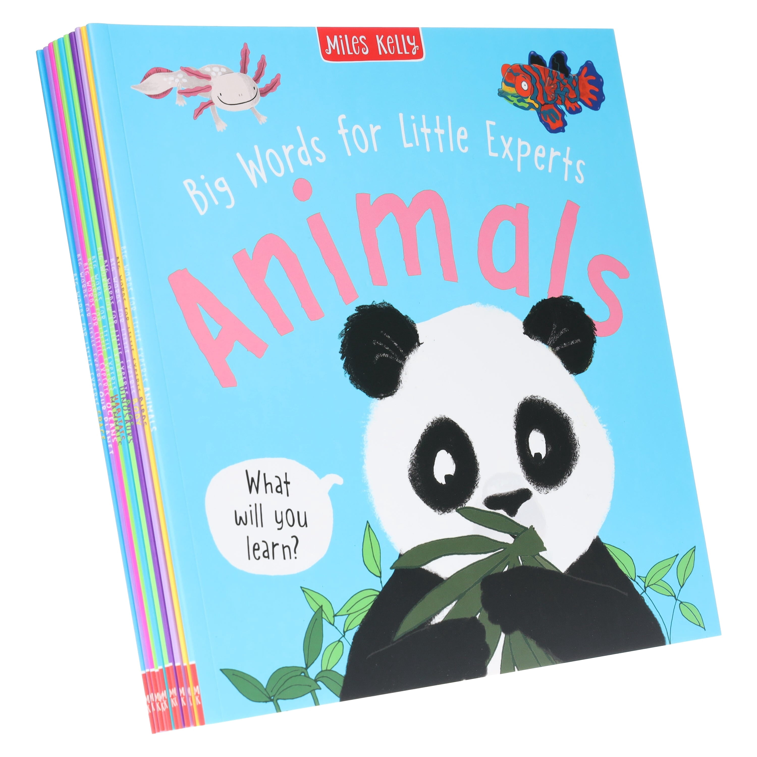 Big Words for Little Experts By Miles Kelly: 10 Books Collection Set ...