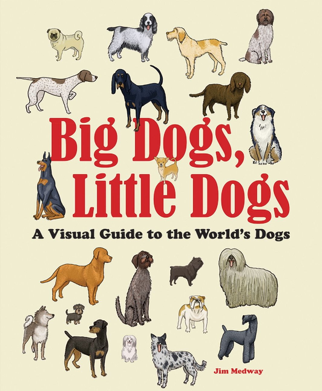 Big and Little Big Dogs, Little Dogs: A Visual Guide to the World's ...