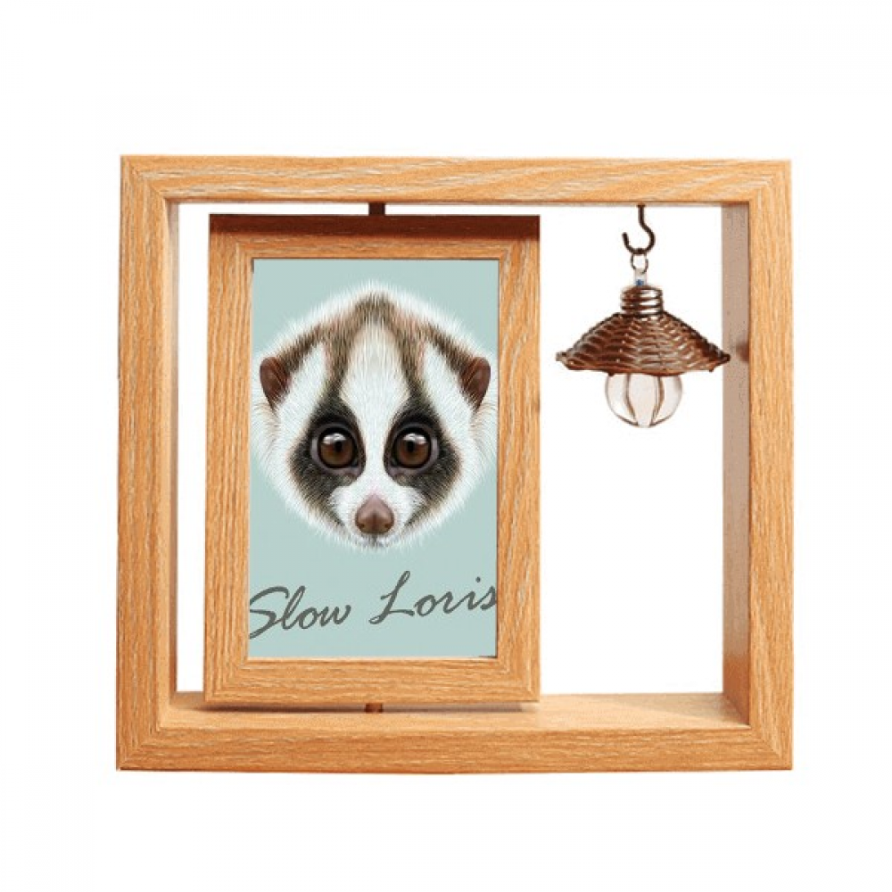 Big-eyed White Brown Loris Animal Wooden Rotating Picture Photo Frame ...