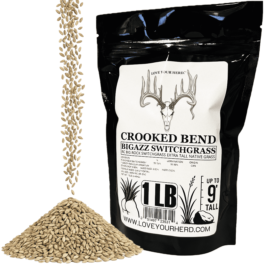 BigAzz Switchgrass Seed, Bulk RC Big Rock Variety, Extra Tall Drought ...
