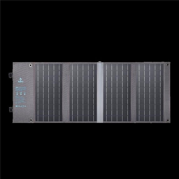 BigBlue B450 36W SolarPowa Solar Charger - Walmart.com
