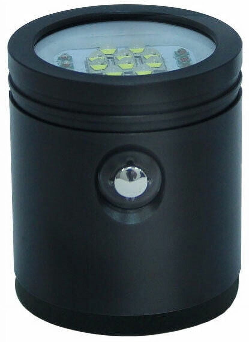 BigBlue Light Head for VTL2900P-GPK - Walmart.com