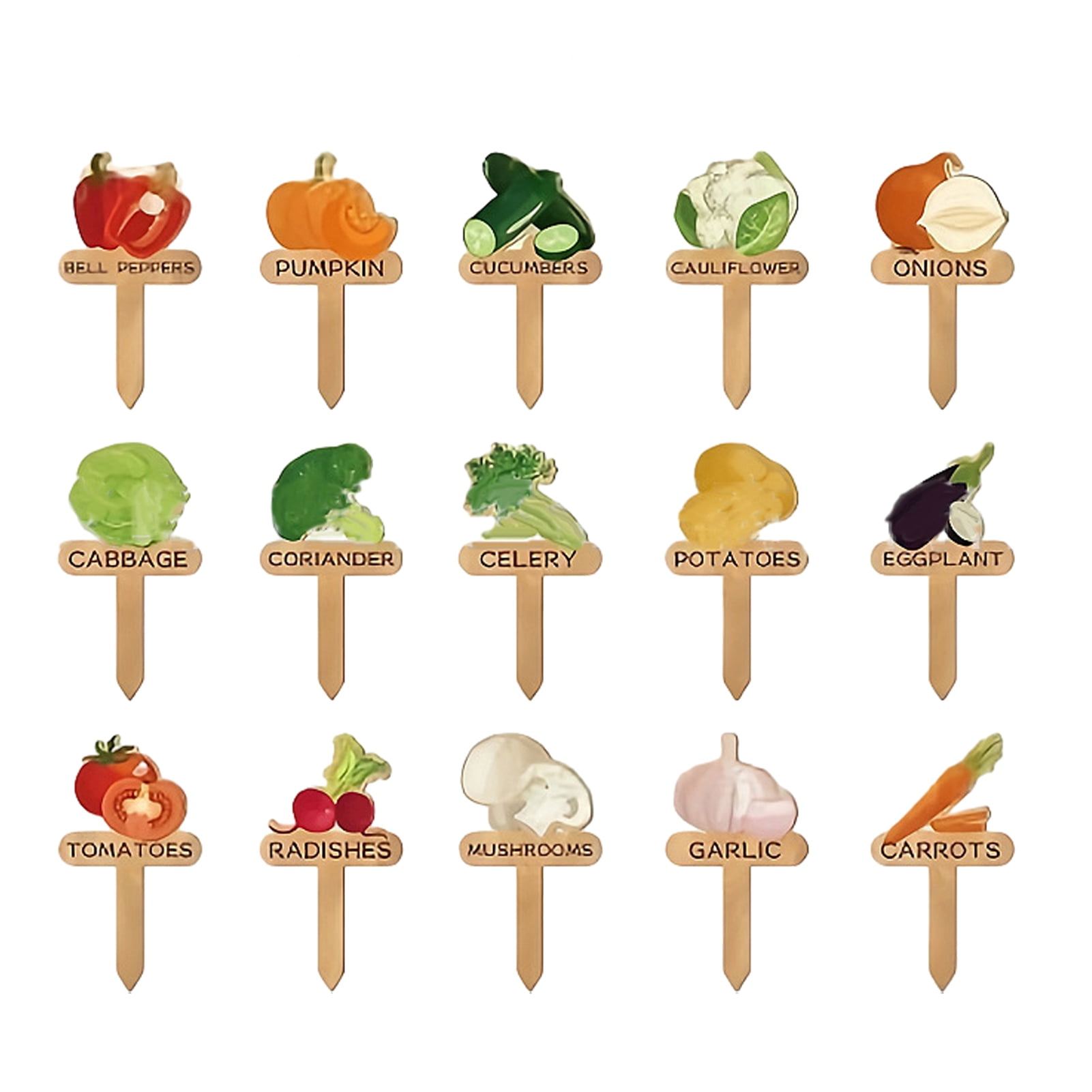 BigTiny 15 Pcs Wooden Plant Labels Vegetable Names And Patterns Markers ...