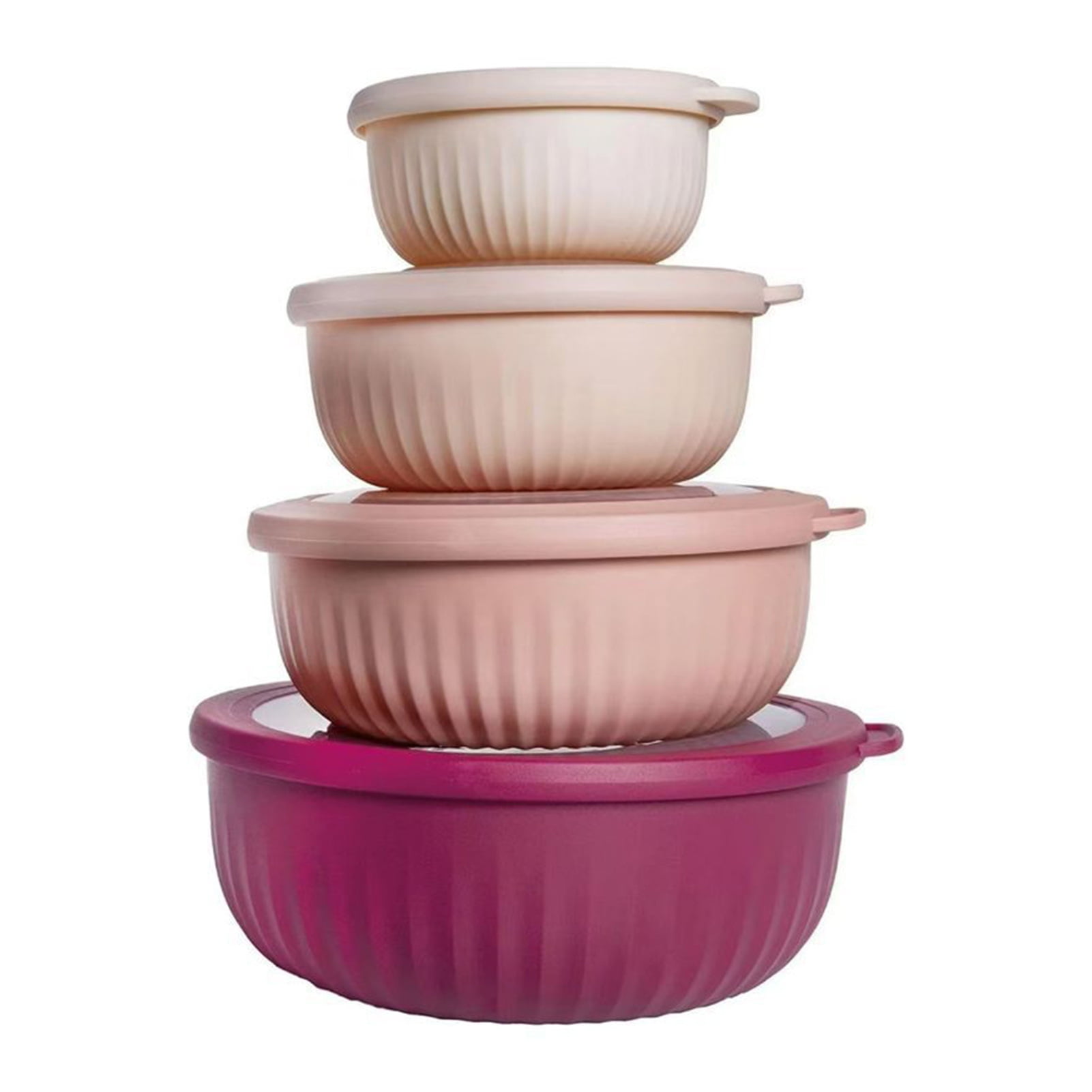 BigTiny 4Pcs Food Container with Sealed Lid Salad Fresh-keeping Box ...