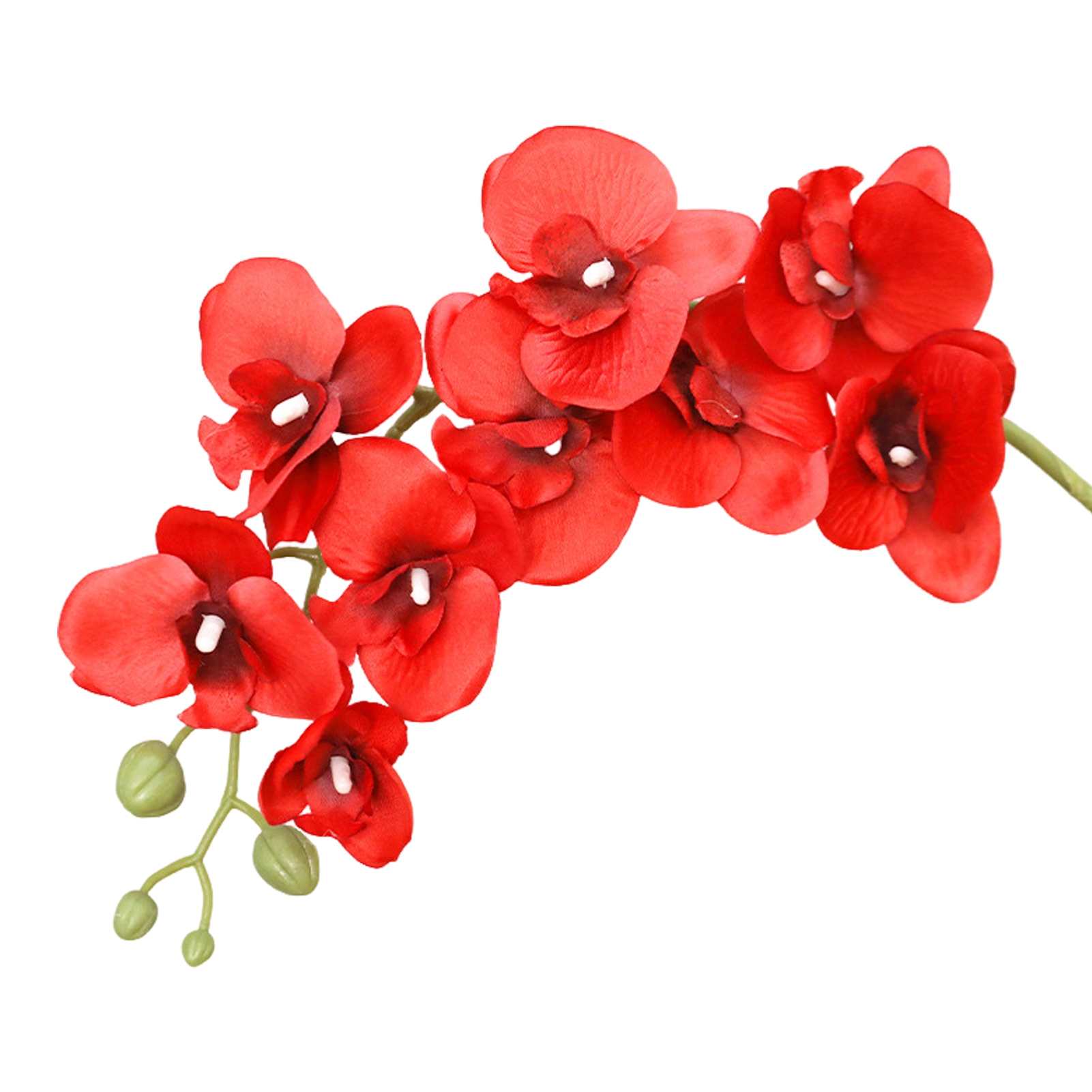 BigTiny Artificial Orchid Flowers Long Stemmed Realistic Phalaenopsis ...