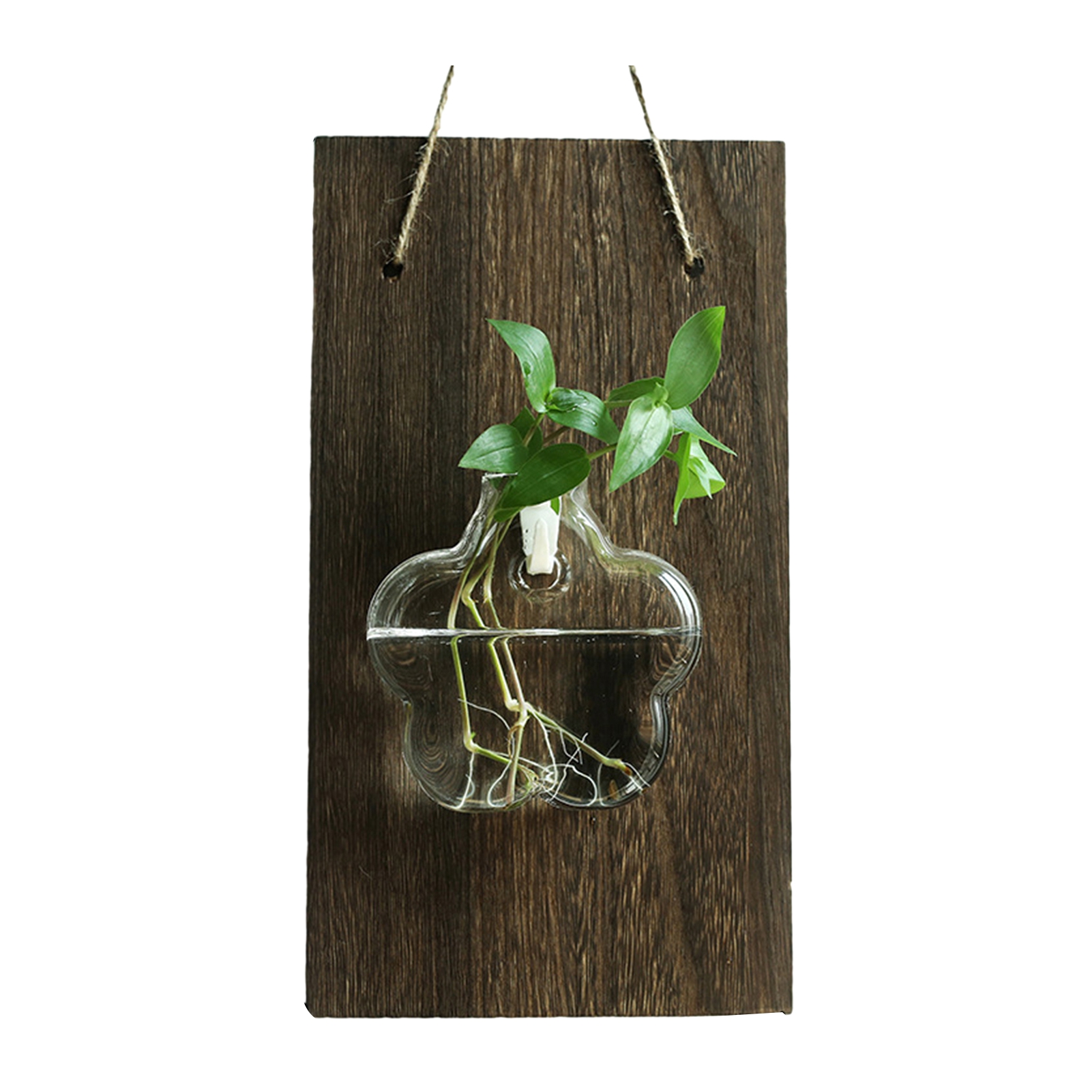 BigTiny Glass Wall Planter Hanging Vase with Wooden Board Oblate Flower ...