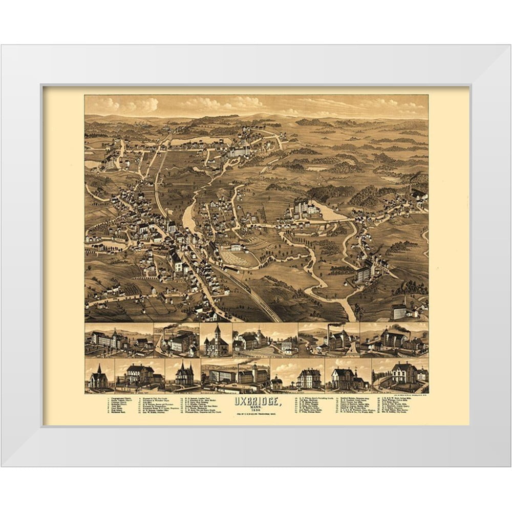 Bigelow 32x26 White Modern Wood Framed Museum Art Print Titled ...