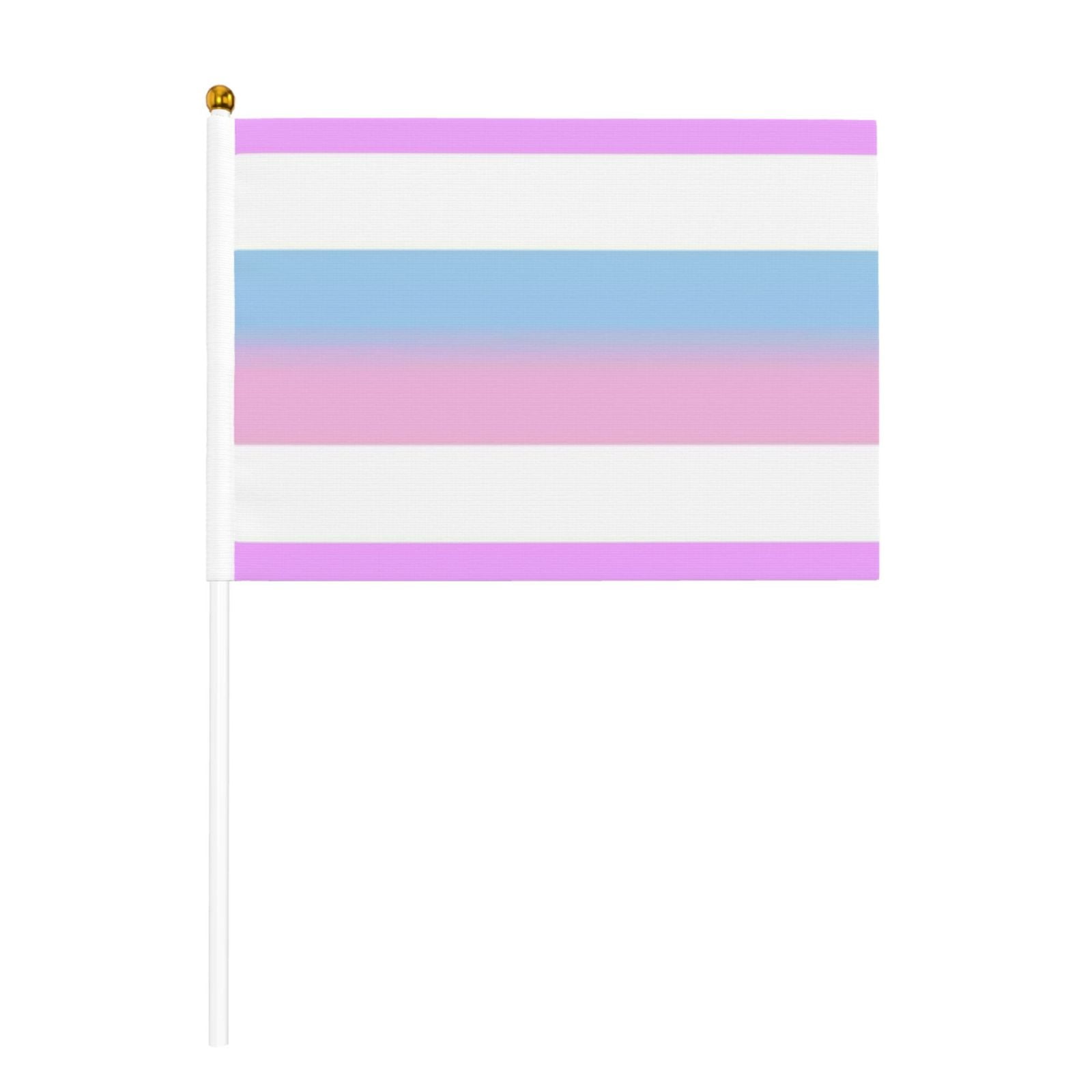 Bigender Pride Flag Lgbtq Flag Small Mini Hand Held Flags Small ...