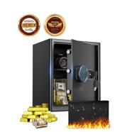 SentrySafe X041E Security Safe with Digital Lock, 0.41 Cu. ft ...