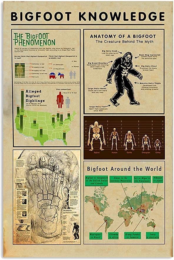 Bigfoot Knowledge The Bigfoot Phenomenon - Funny Wall Plaque Poster for ...