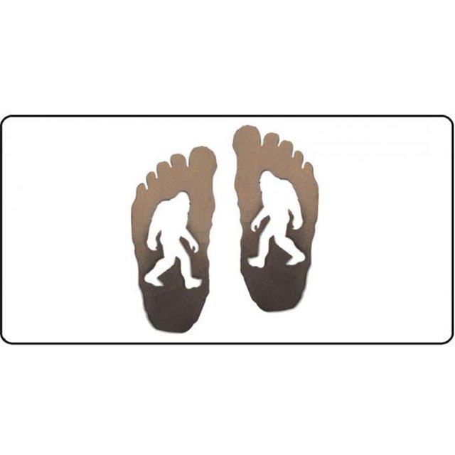 Bigfoot Shadow Footprints Photo License Plate - Walmart Business Supplies