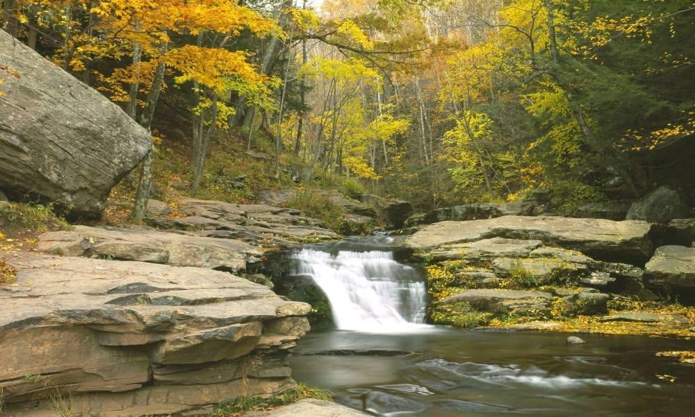 Biggies- Window Well Scenes Wall Art- Stream, 60" x 100" - Walmart.com