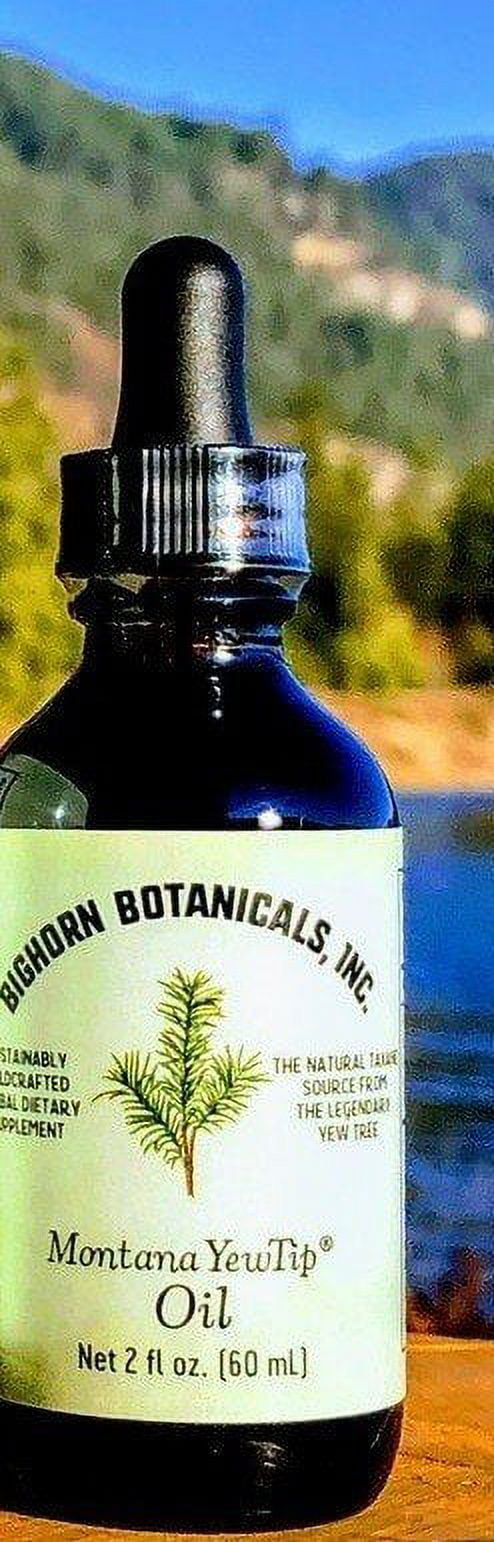 Bighorn Botanicals Montana Yew Oil 2.1 fl oz Dropper - Walmart.com