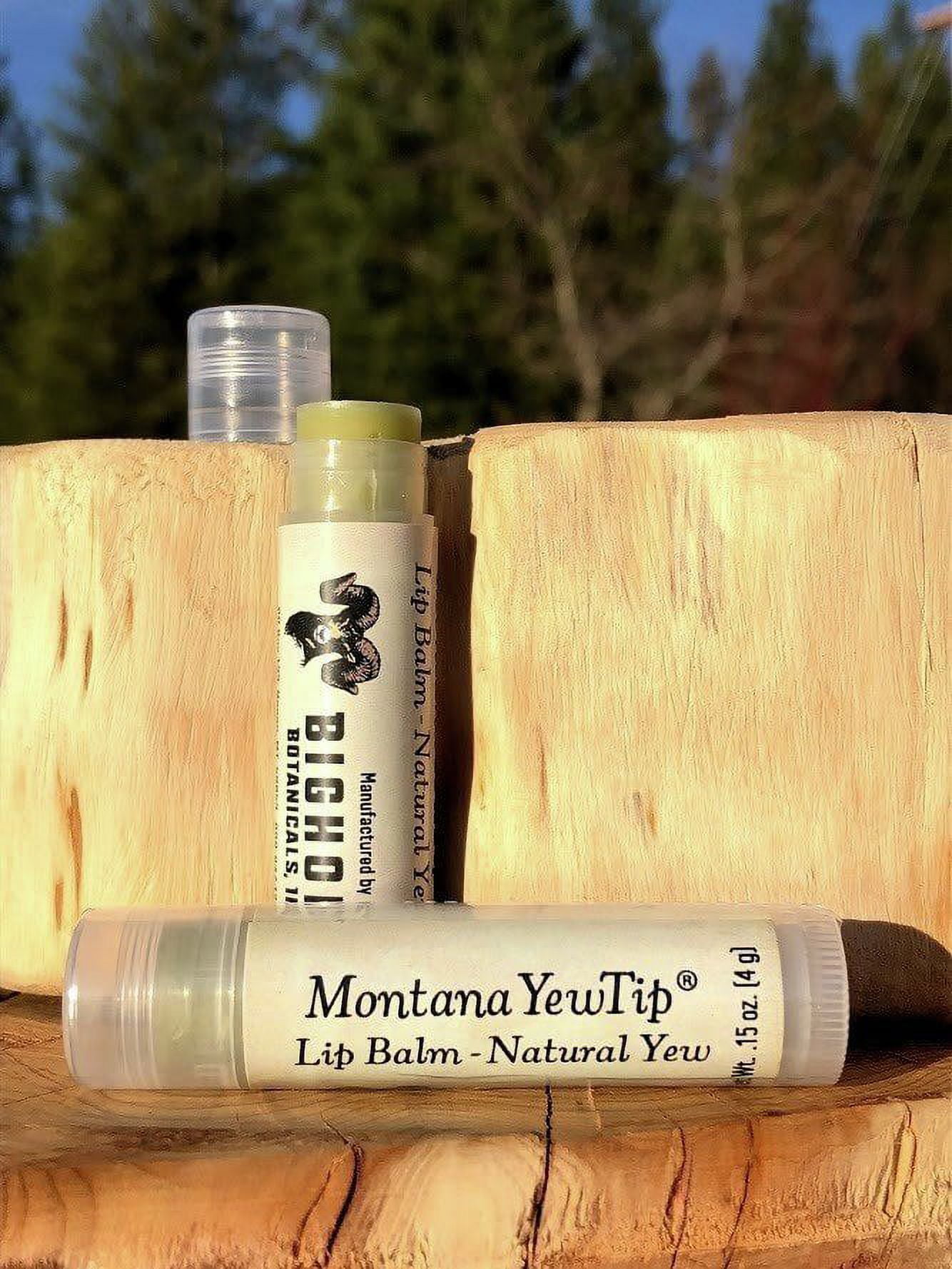 Bighorn Botanicals Montana Yew Tip Lip Balm Unscented .15 oz Tube ...