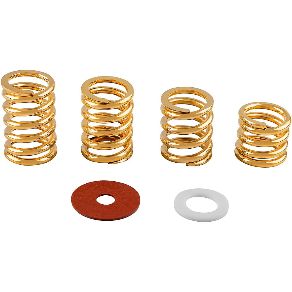 Bigsby Spring and Washer Assorted Pack Gold - Walmart.com