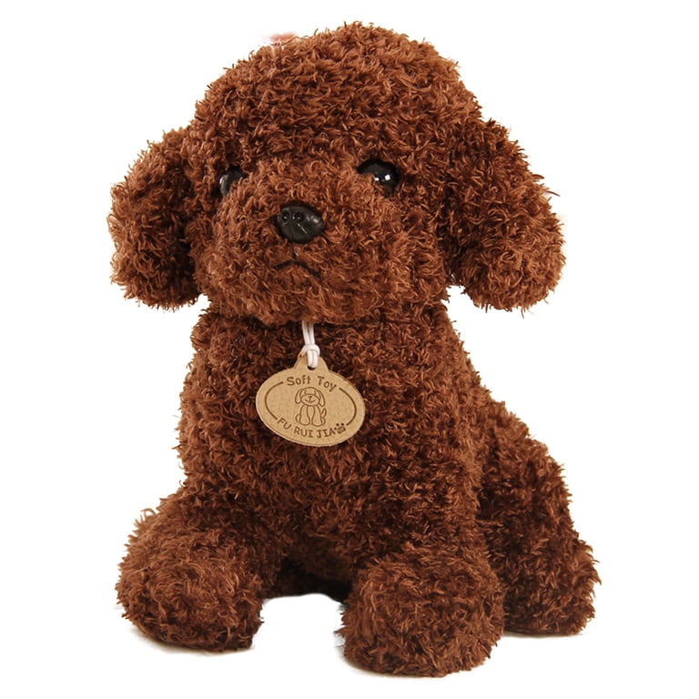 Dark Brown Toy Poodle Puppies