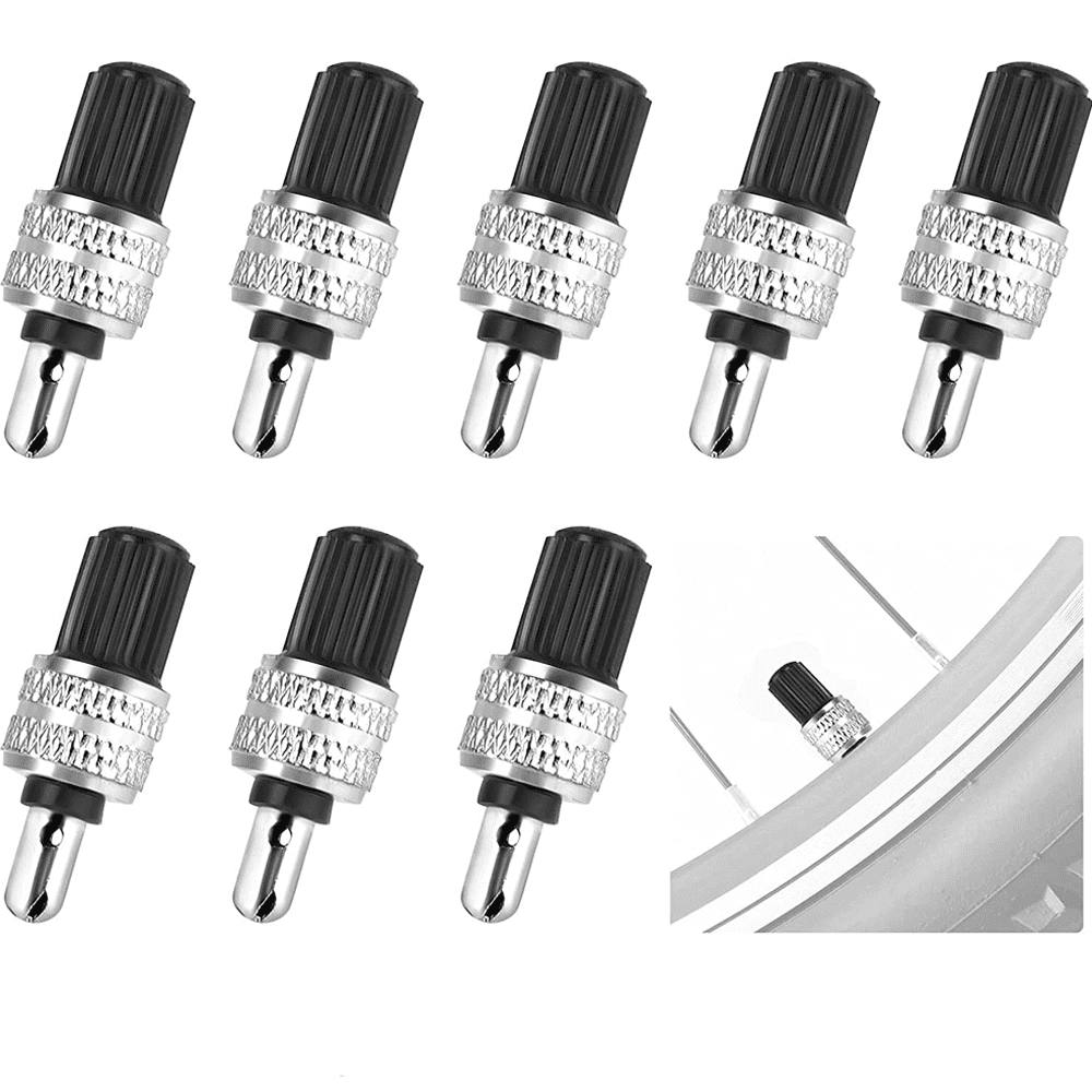 Bike Valve Kit, 30Pcs Replacement Bike Valves for Standard Valve NV DV ...