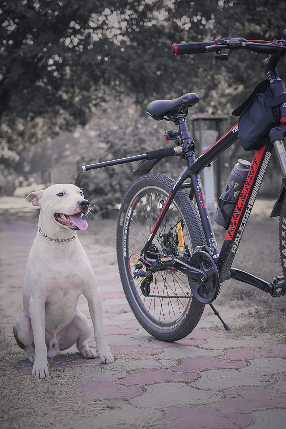 BikeGear Dog Bicycle Exerciser Leash for Exercising Training Jogging ...